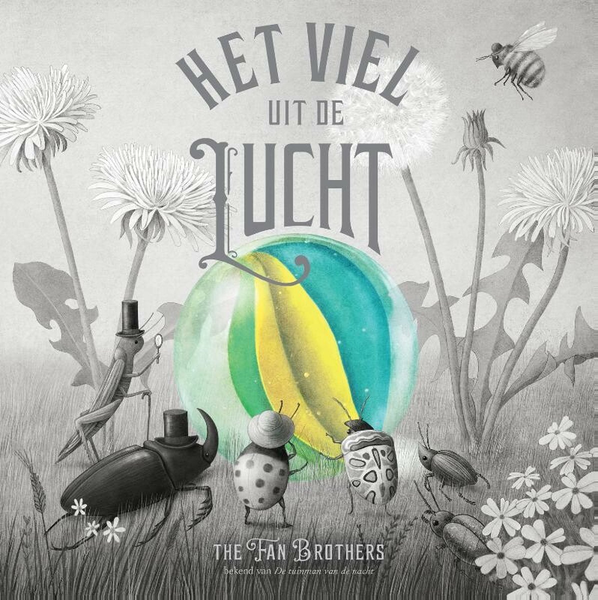 Het viel uit de lucht – In de Boekenkast