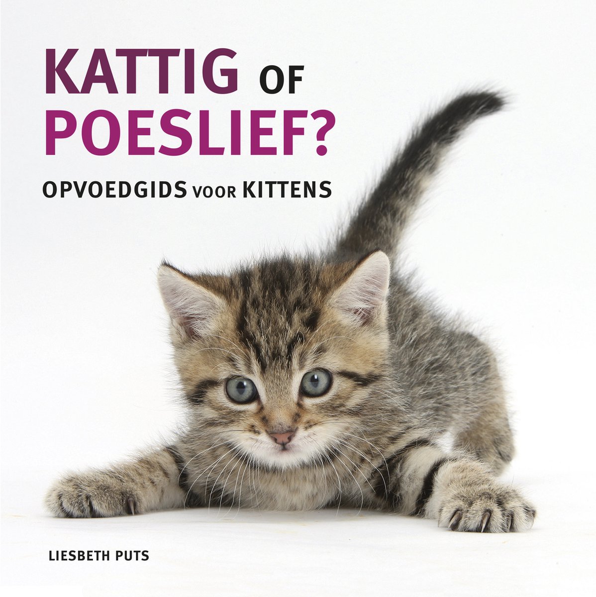 Kattig of poeslief – In de Boekenkast